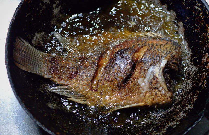 Fish Frying in a Pan in the Outdoors Stock Image - Image of healthy ...
