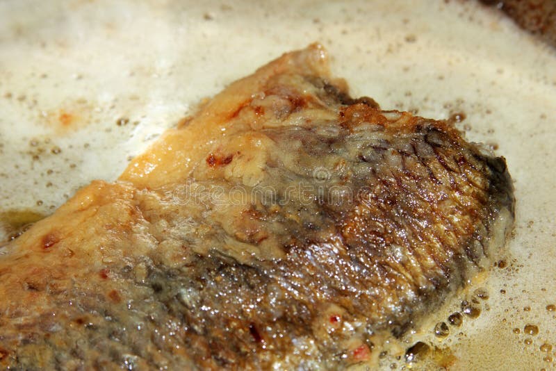 Fish frying in pan stock image. Image of preparation - 70271523