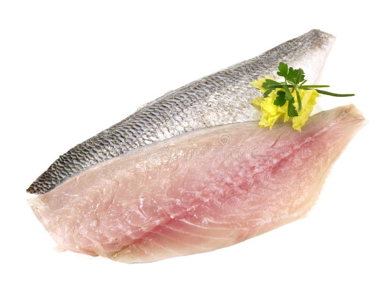 Gilthead Sea Bream Fillet stock image. Image of protein - 152336449