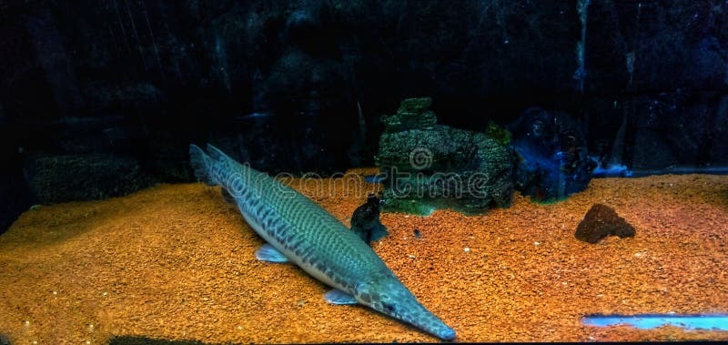 Water Storn Sands Stock Photos - Free & Royalty-Free Stock Photos from ...