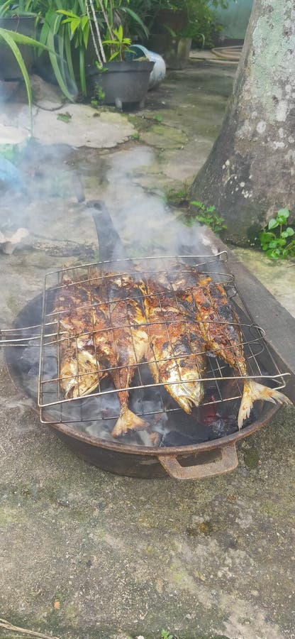 The fish got burn stock photo. Image of fire, fish, burn - 213293262