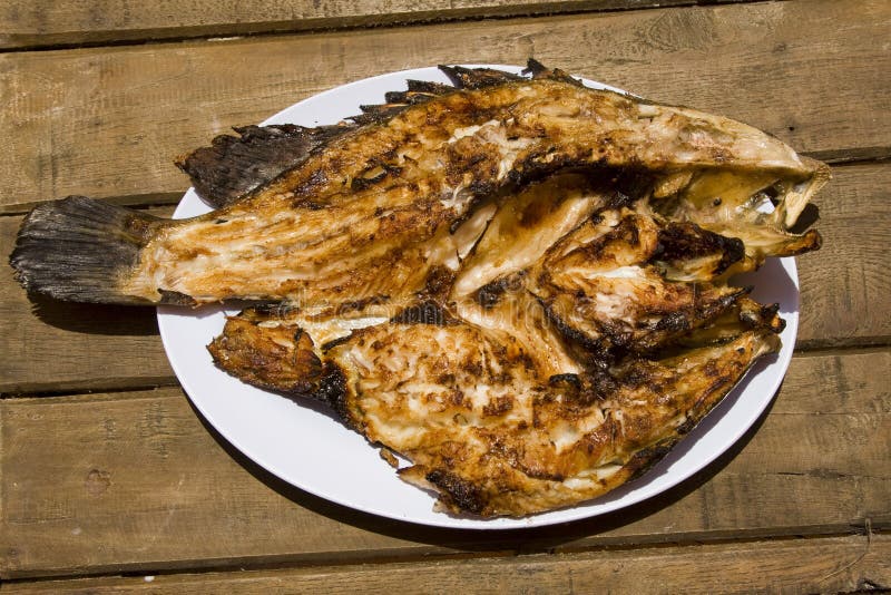 Fish grill stock image. Image of seafood, gourmet, fish - 13386331