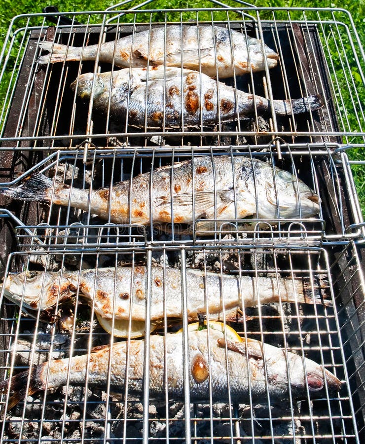 Fish on a grill stock image. Image of cooking, dinner - 15148733