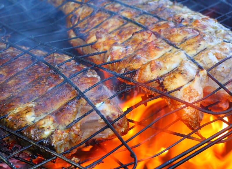 Family fishing stock image. Image of bait, holidays, tackle - 10106183