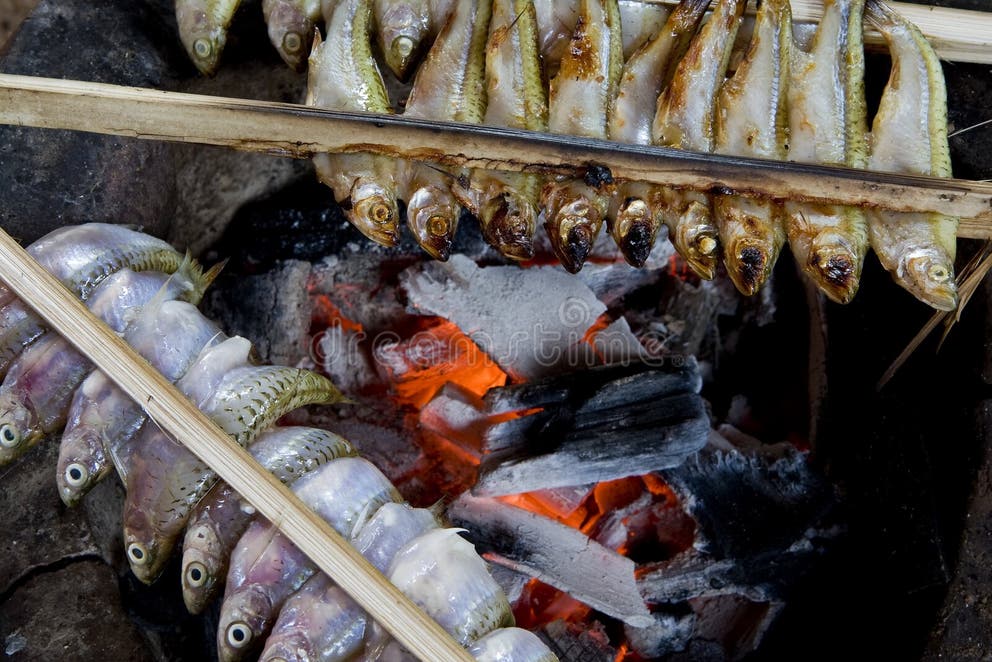 Fish grill with coal stock photo. Image of coal, meal - 6575718