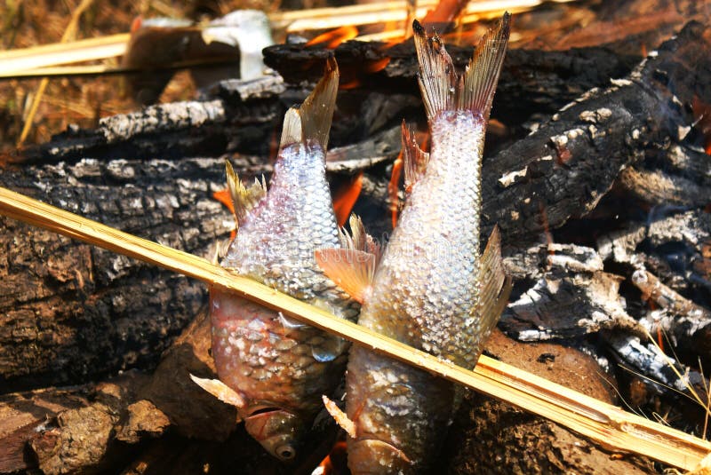 Grilled fish stock image. Image of fire, tasty, delicious - 26514089