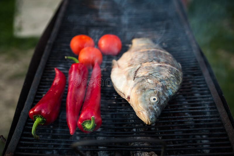 Cooking Fish Over Open Fire Stock Photo - Image of bass, freshwater ...