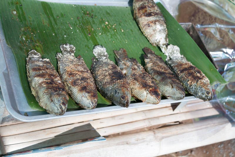 Fish grilled stock photo. Image of roasted, grill, healthy - 85864974