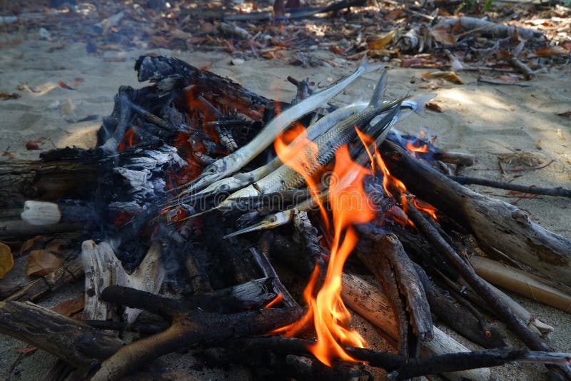 465 Bonfire Grilled Fish Stock Photos - Free & Royalty-Free Stock ...