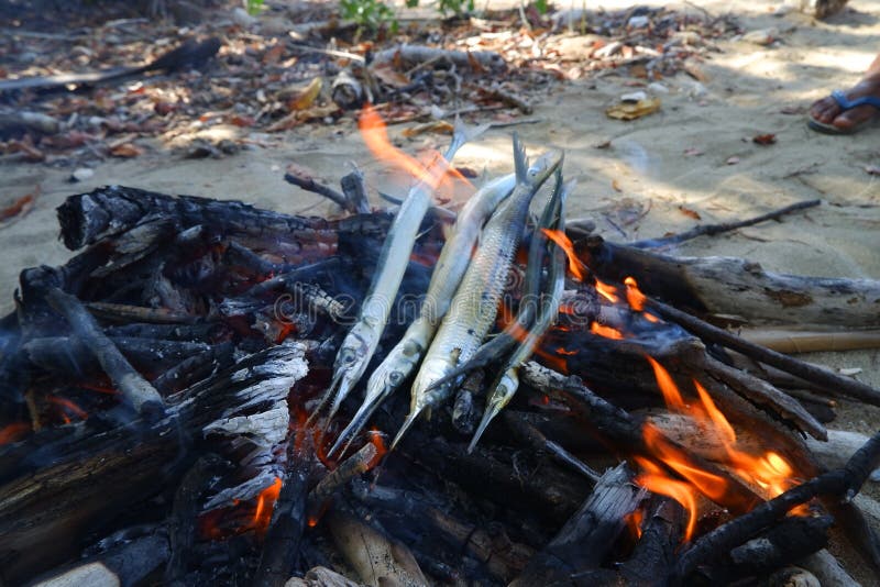 Fish grilled on a bonfire stock photo. Image of barbecue - 223193922