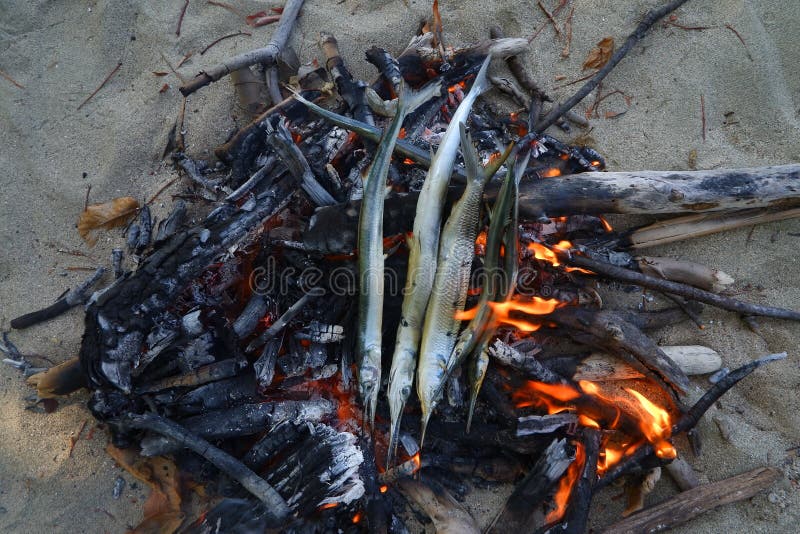 Beach Campfire Fish Stock Photos - Free & Royalty-Free Stock Photos ...