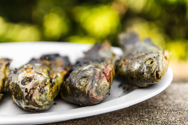 Fish grilled stock image. Image of light, dinner, burns - 49848609