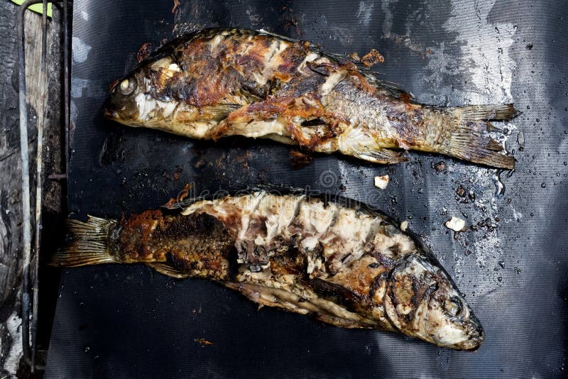Fish Grilled with a Golden Crust Stock Image - Image of dirty ...