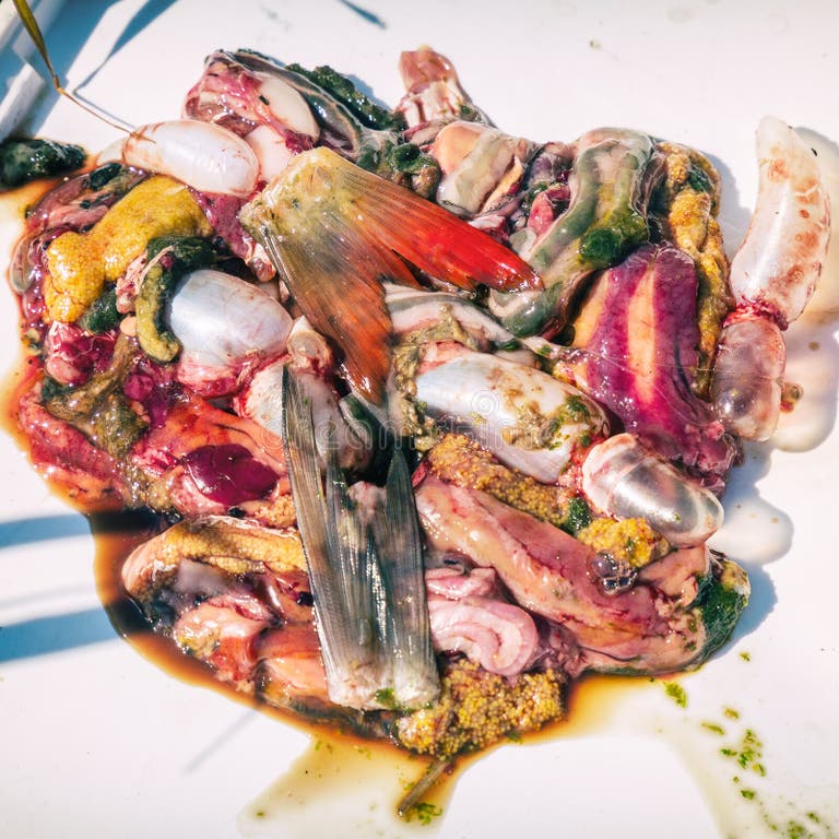 Fish guts offal on white stock image. Image of garbage - 123222567