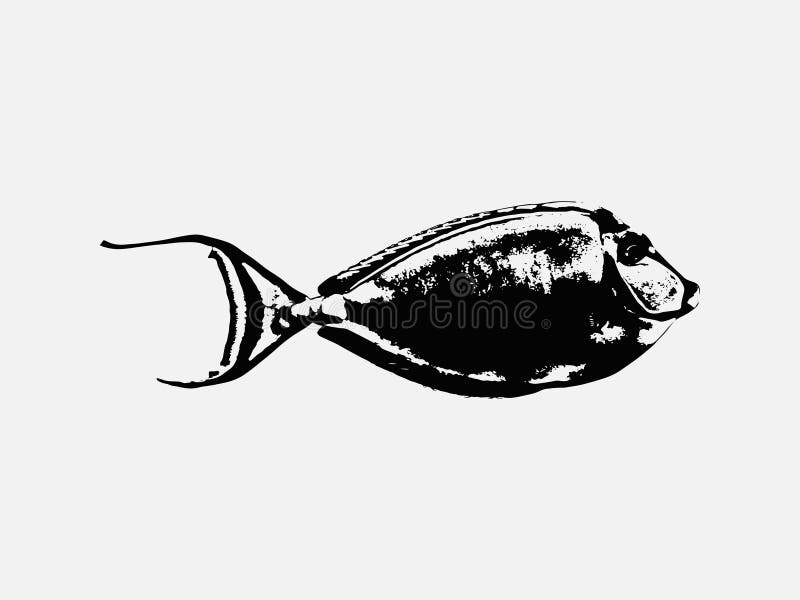 Fish in Hand Draw. Fish Hand Drawing Vintage Engraving Illustration ...