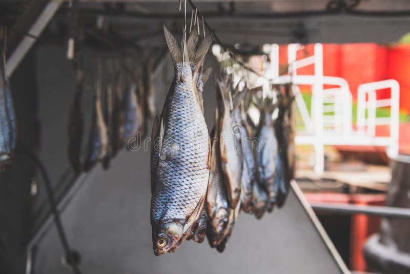 Fish Hanging Drying on a Rope. Stock Image - Image of preparation ...