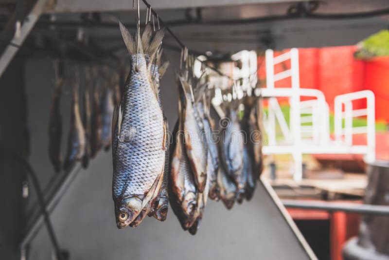 Fish Hanging Drying on a Rope. Stock Image - Image of rope, people ...
