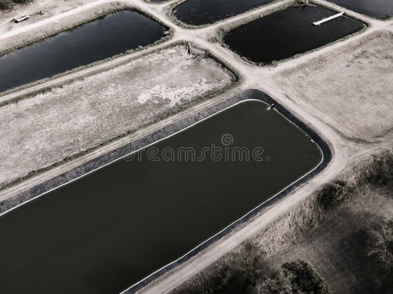 Fish Hatchery Growing Fish on the Land Stock Image - Image of waste ...