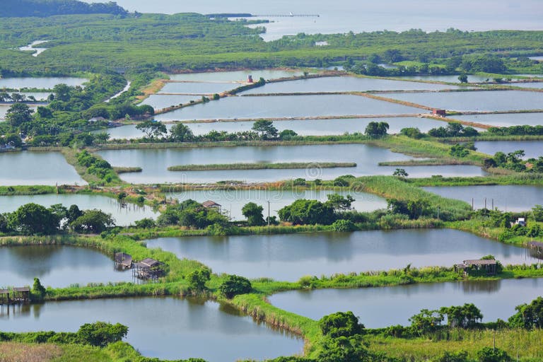 1,149 Hatchery Aquaculture Farm Stock Photos - Free & Royalty-Free ...