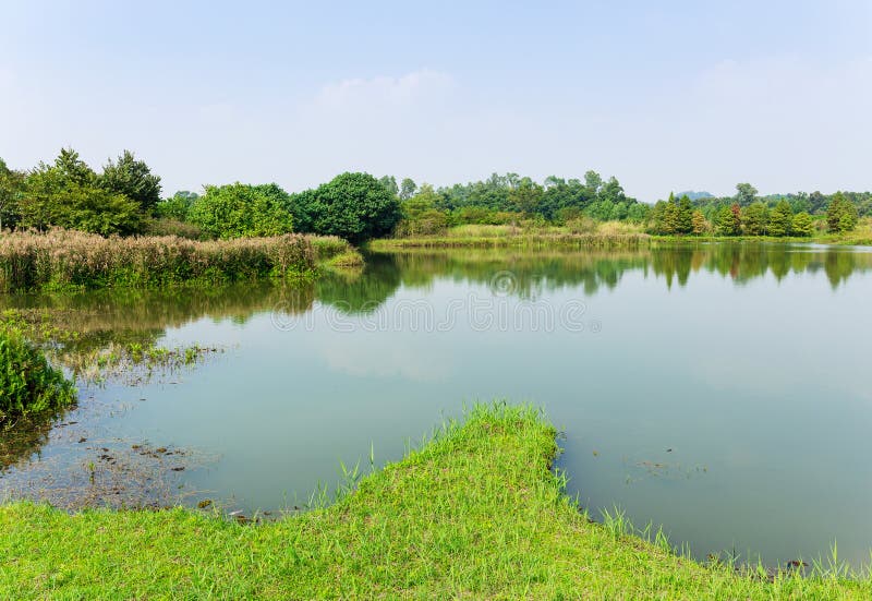 Fish hatchery pond stock image. Image of landscape, blossom - 46616291