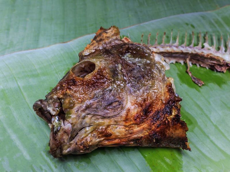 Fish head stock photo. Image of dirty, freshwater, round - 55925596