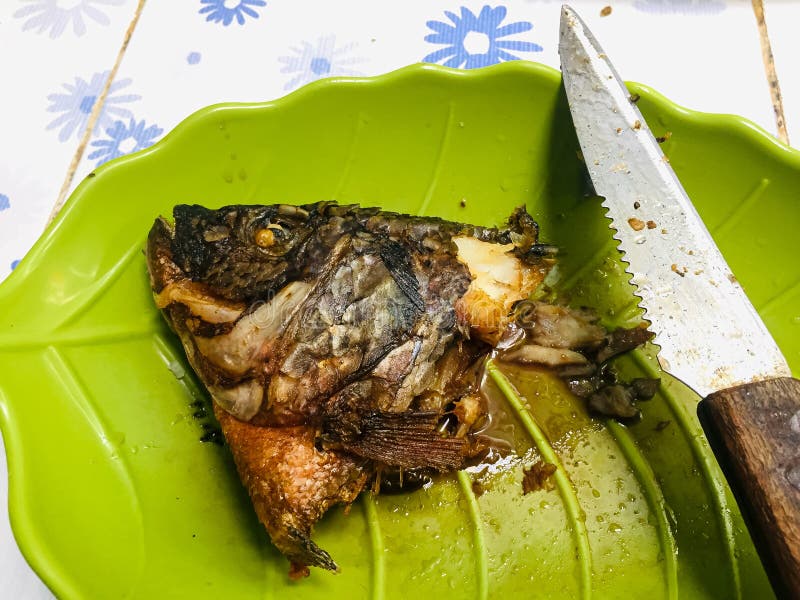 Fish head dish stock photo. Image of head, cooking, dish - 224858668