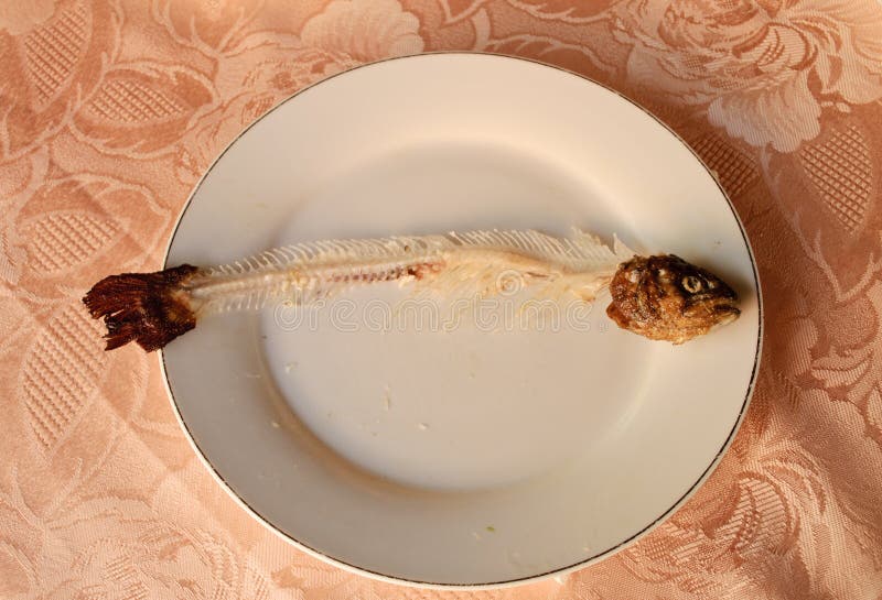 Fish head stock photo. Image of plate, platter, dish - 31361260