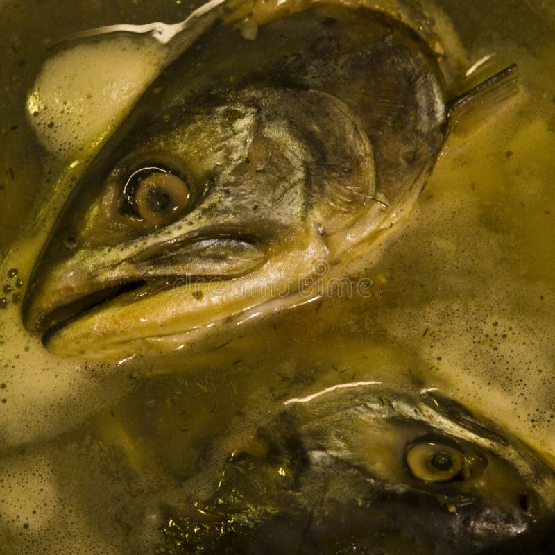 Fish Head with Eyes in Soup Stock Photo - Image of chef, meal: 95250892