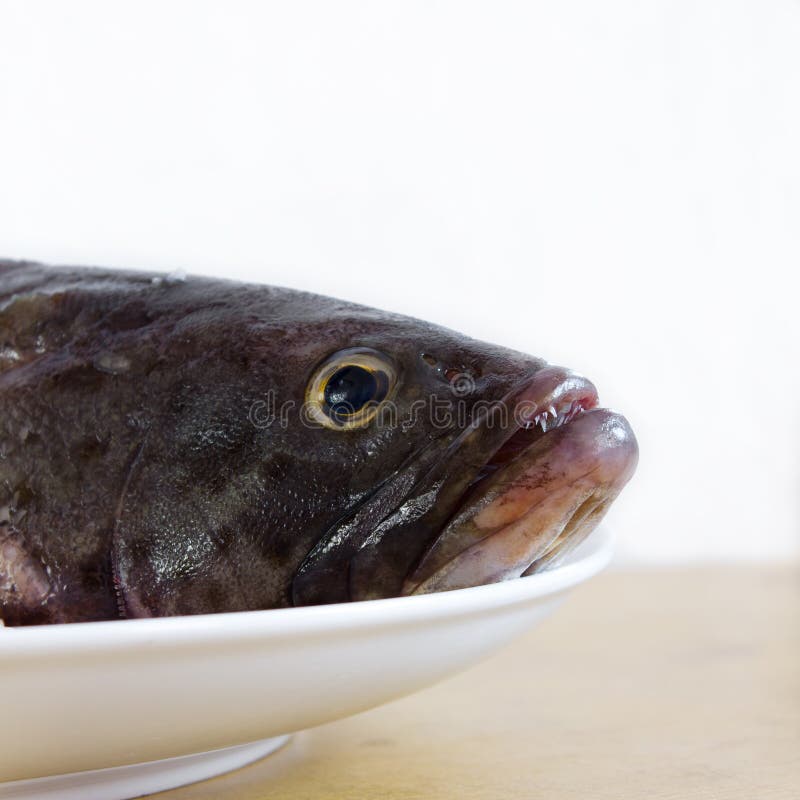 Fish stock photo. Image of gourmet, ingredients, diet - 32314424