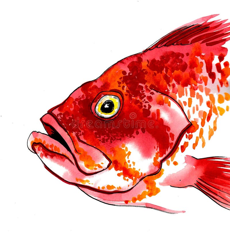 Fish Head Stock Illustrations – 24,902 Fish Head Stock Illustrations ...