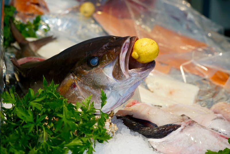 Fish head with lemon stock photo. Image of store, head - 75689914