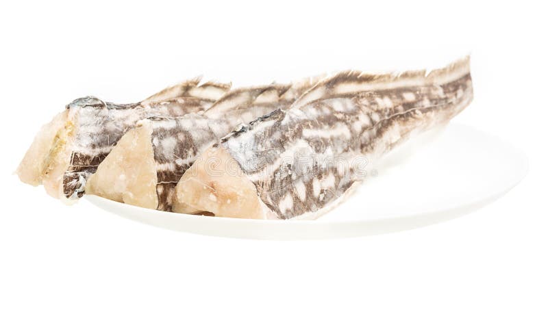 Fish without Head on a White Background Stock Photo - Image of animal ...