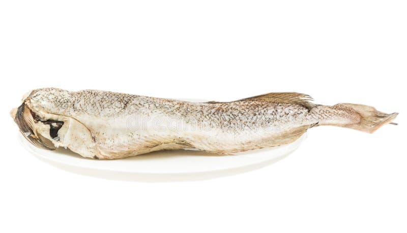 Fish without Head on a White Background Stock Photo - Image of hake ...