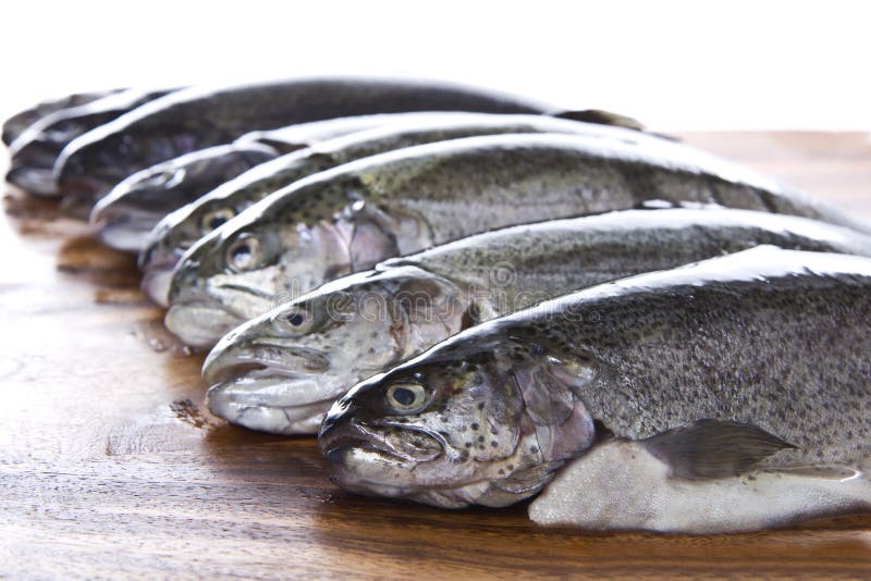 Fish Heads stock image. Image of fish, closeup, skin - 21507505