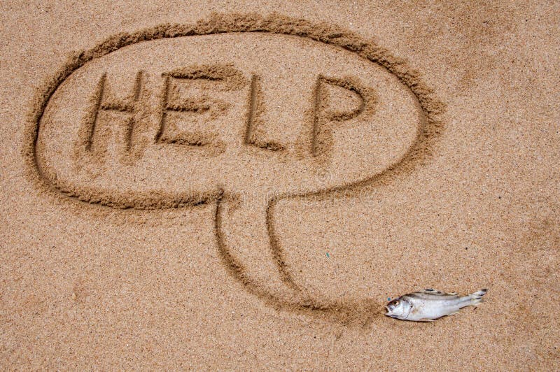 Fish Help stock image. Image of please, fish, care, help - 19460533
