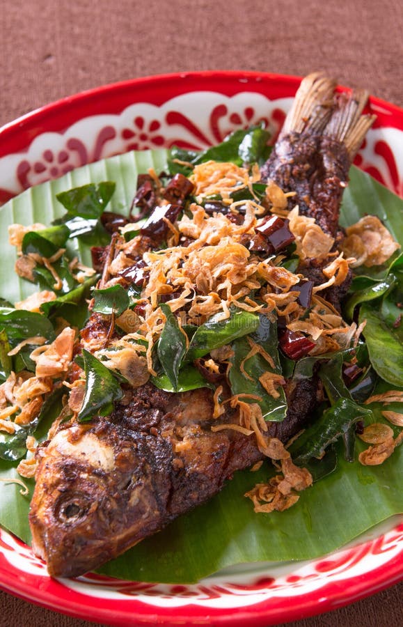 Fish with herbs, spices, stock image. Image of gastronomy - 100309951