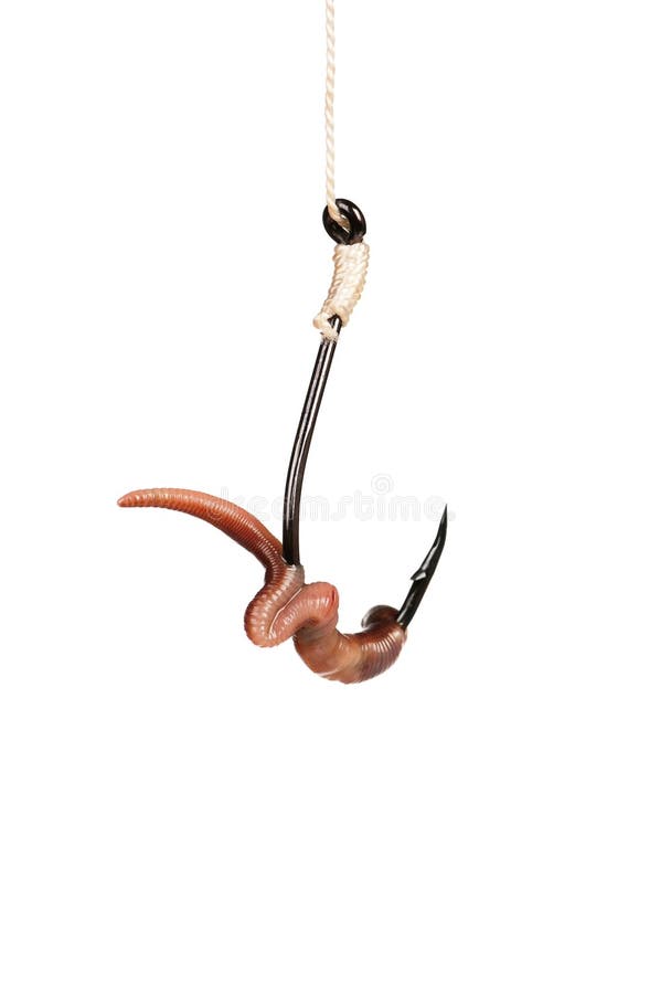 Worm on fish bait hook stock image. Image of catch, white - 20053791