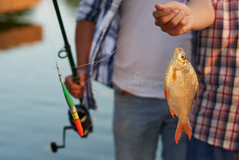 Fish on a hook stock photo. Image of hook, holding, carp - 69822630