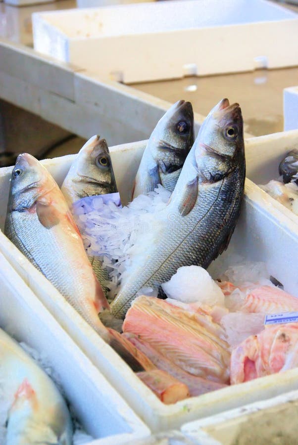 Fish on ice stock image. Image of fishery, frozen, freshness - 12691785