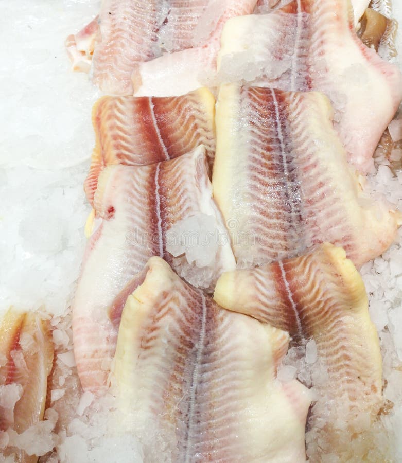 Fish in the Ice on the Counter in the Store Stock Image - Image of fish ...