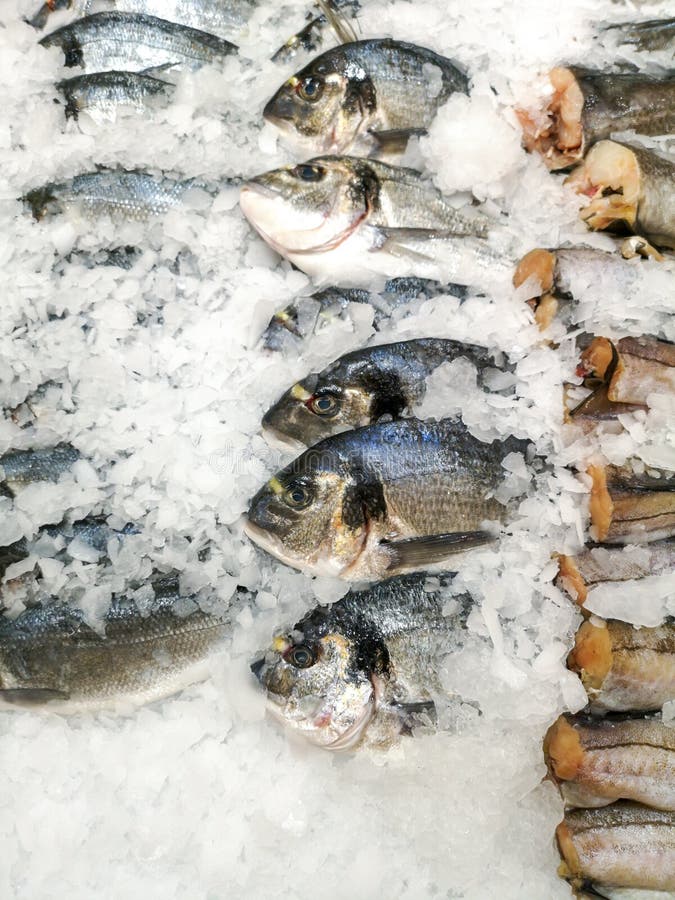 Fish in the Ice on the Counter in the Store Stock Photo - Image of meat ...