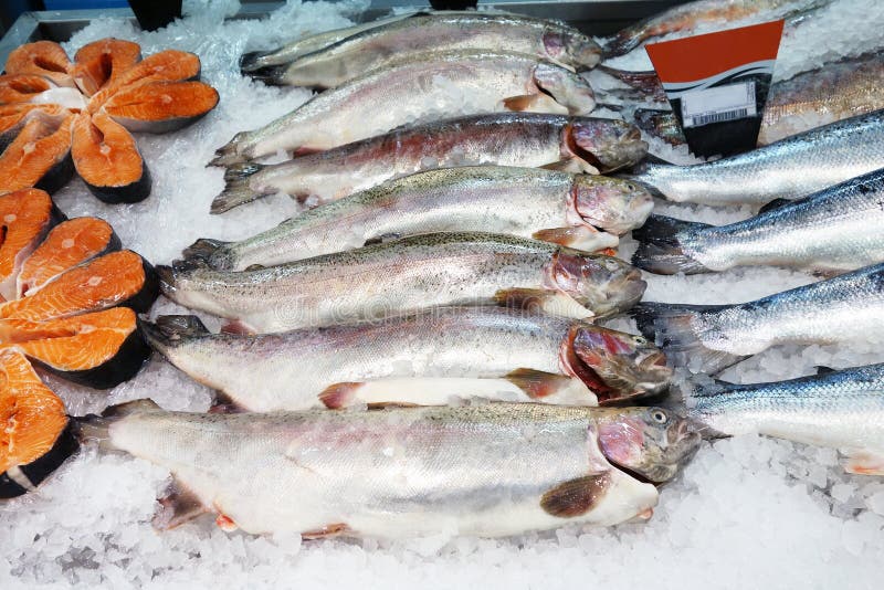 Fish on Ice on the Counter in Supermarkets Stock Image - Image of ...