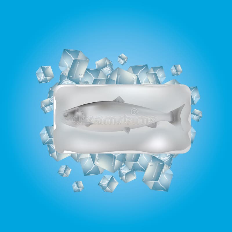 Fish in an Ice Cube. Vector Illustration Decorative Design Stock Vector ...