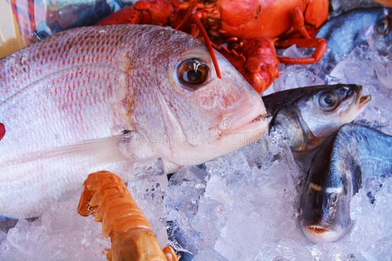 Fish in ice stock image. Image of food, seafood, crustaceans - 85128611