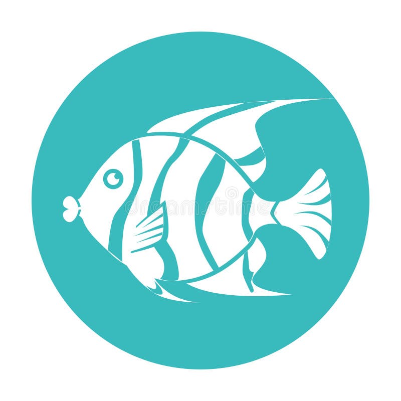 Fish icon graphic design stock vector. Illustration of ocean - 60958400