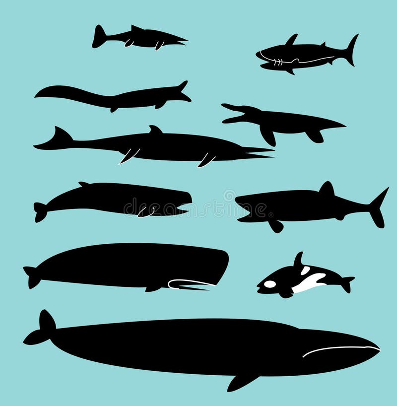 Fish icons stock vector. Illustration of font, bird - 295854854