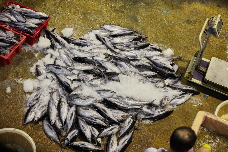 Fish Import Market in Singapore Editorial Image - Image of fish, health ...