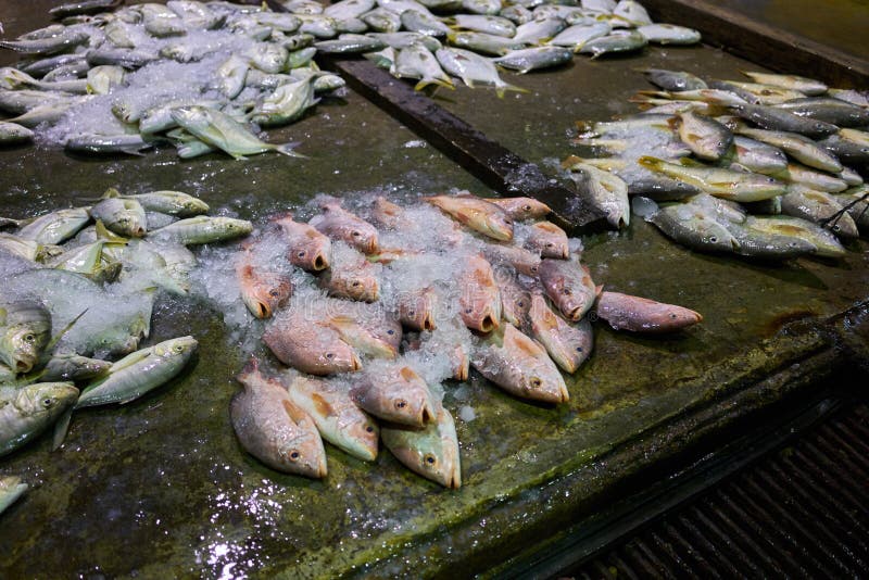 Fish Import Market in Singapore Editorial Photography - Image of white ...