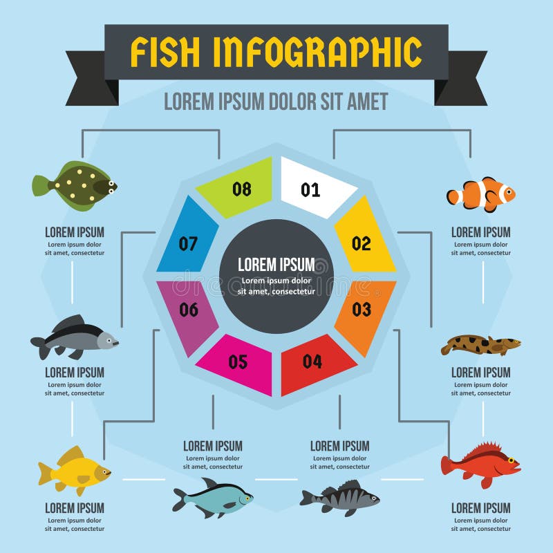 Fish Infographic Concept, Flat Style Stock Vector - Illustration of ...