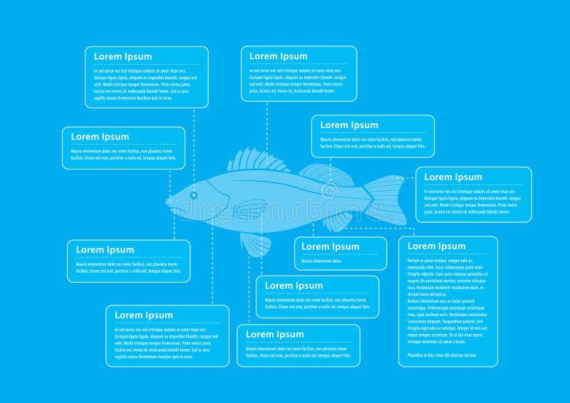 Fish Infographic Concept, Simple Style Stock Vector - Illustration of ...